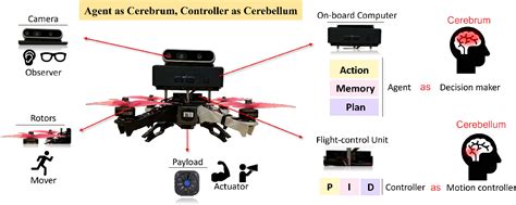 Agent As Cerebrum Controller As Cerebellum Implementing An Embodied Lmm Based Agent On Drones