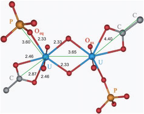 Model Used For The Fit Of Cell And S Layer Uranium Spectra Fragments