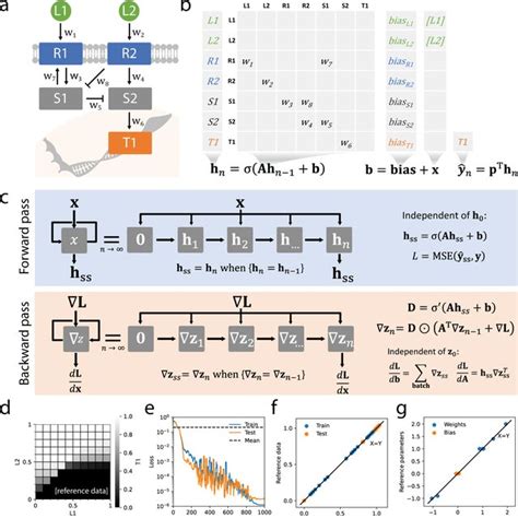 synthetic data from automatically parameterized model a a large
