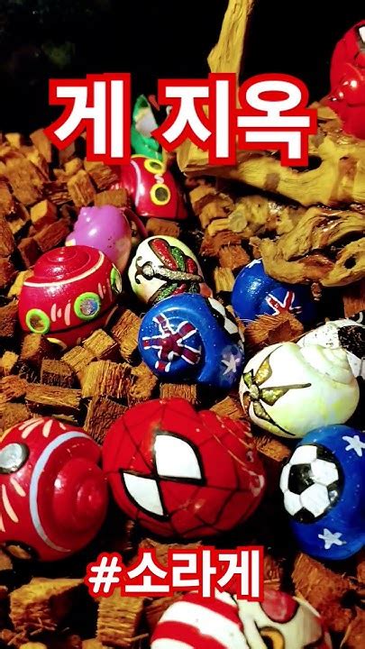 땅으로 올라온 소라게 Youtube