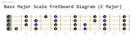 Easy Bass Major Scale Lesson