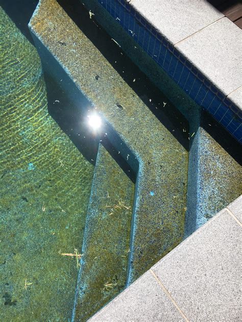 Algae Stain Removal Treatments For Algae Stains In Swimming Pools