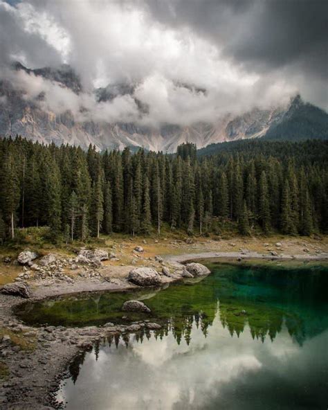 چه زیبا گفت نیما یوشیج👌 طرفداری