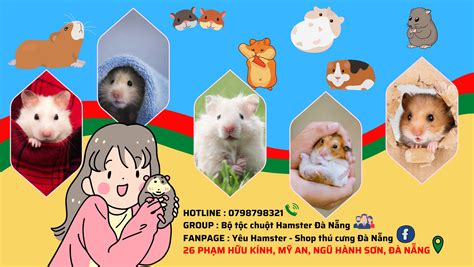 Bộ Tộc Hamster Đà Nẵng E Cần Lồng Hamster Nhỏ Giá Thanh Lý ạ