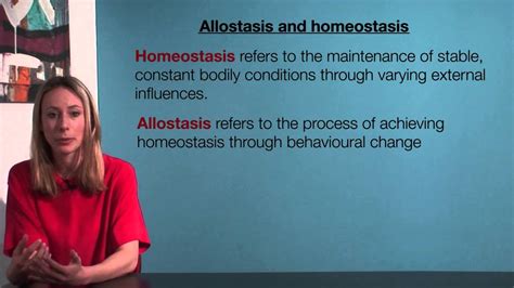 Vce Psychology Allostasis And Homeostasis Youtube