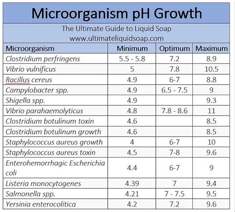 Do I Need To Use A Preservative In Liquid Soap Learn About Microbes