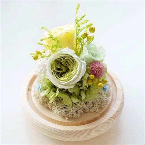 永生花 高清图片，堆糖，美图壁纸兴趣社区