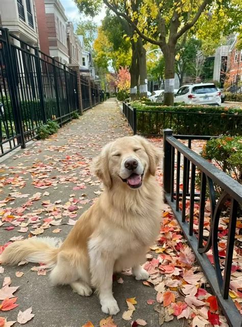 Jonny Devaney Jonny Devaney Added A New Photo