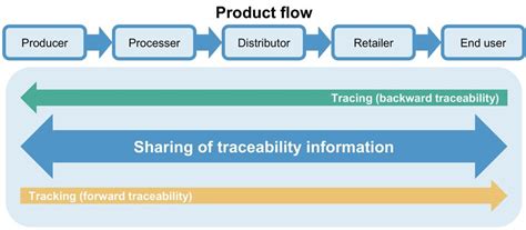 Conceptual Representation Of Traceability Types Download Scientific