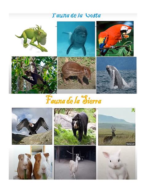 Fauna Y Flora Del Ecuador Pdf