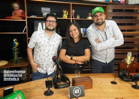Alv Networks