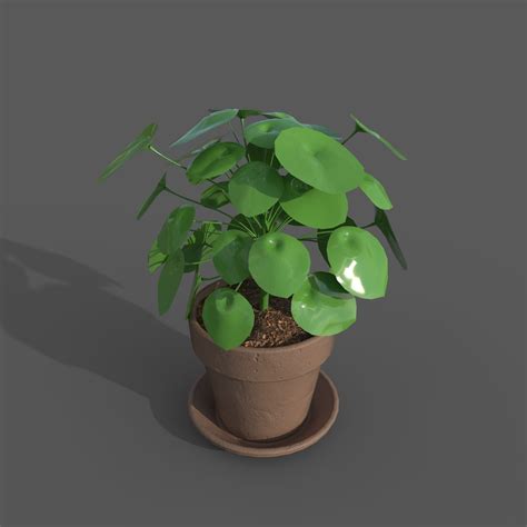 Plant In Terracotta Pot 3d Model Turbosquid 2252562
