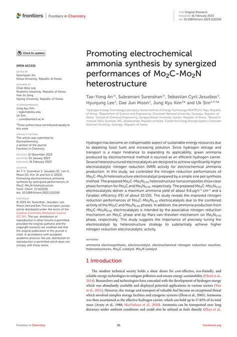 Promoting Electrochemical Ammonia Synthesis By Synergized Performances