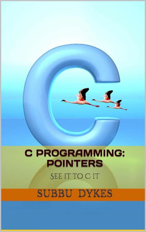 C Prog Pointers C Programming Ebook Dykes Subbu