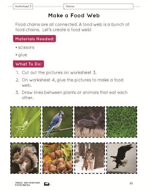 Ecosystem Food Chain And Web Worksheet Teacher Made Worksheets Library
