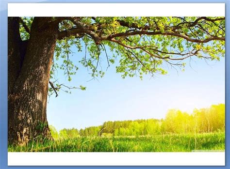 Oracle—多表连接,组函数,分组查询,子查询 知乎 Oracle—多表连接,组函数,分组查询,子查询 知乎