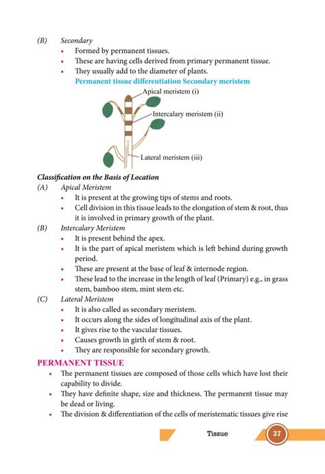 Class 9 Science Chapter 6 Tissue Study Notes Gurukul Of Excellence