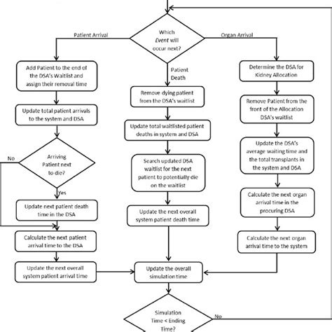 Interpretation Of Column Agglutination Method The Agglutination Is