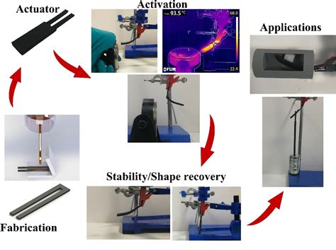 Figure 1 From Magnetorheological Elastomer‐based 4d Printed