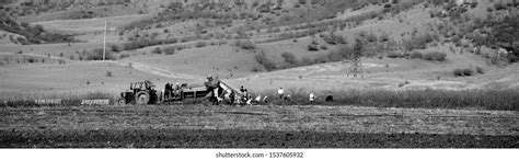 57 Armenia Food Scenic Images, Stock Photos & Vectors | Shutterstock