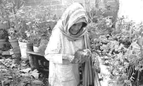 Las Plantitas De Mamá Chihuahua Es