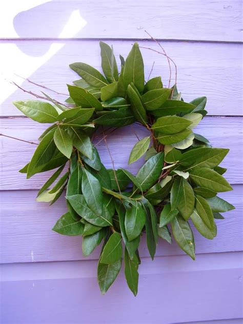 Time To Harvest A Carolina Bay Wreath
