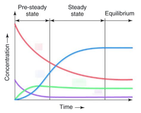 Enzyme Kinetics Diagram Quizlet