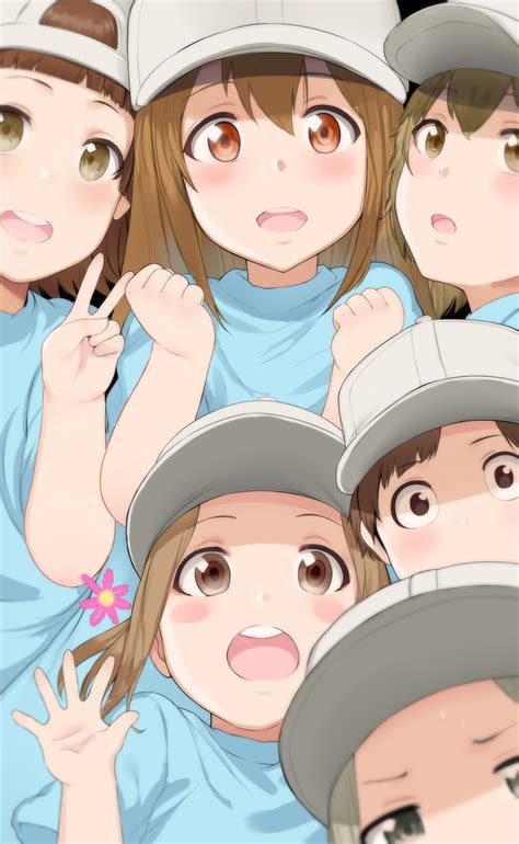 The Platelets Cells At Work Rawwnime