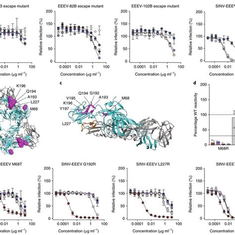 Characterization Of Eeev Mab Escape Mutants A Neutralization Escape