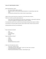 Respiratory System Lecture Docx Lecture Upper Respiratory System Role Of The