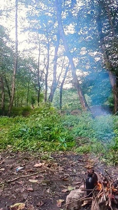 کشور ایران جنگل تنکابن نام آن دالخانی است آرامش چای درست کردن Youtube