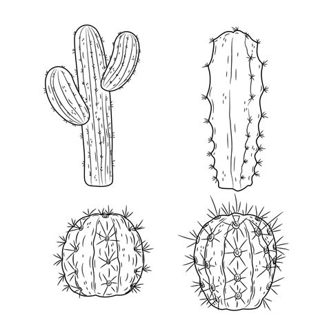 Free Vector Hand Drawn Cactus Outline Illustration