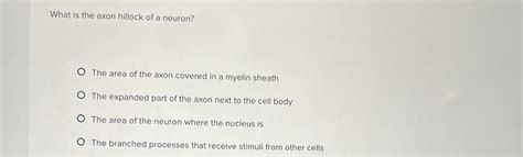 What Is The Axon Hillock Of A Neuronthe Area Of The
