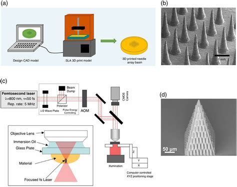 a schematic illustration of the process setup for 3d printing