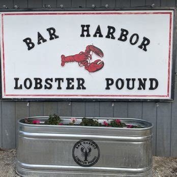 Bar Harbor Lobster Pound Updated June 2024 213 Photos And 131 Reviews
