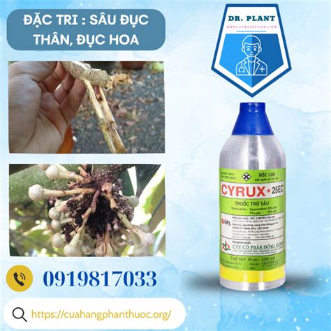Cyrux 25ec ThuỐc ĐẶc TrỊ SÂu Khoang SÂu ĐỤc ThÂn