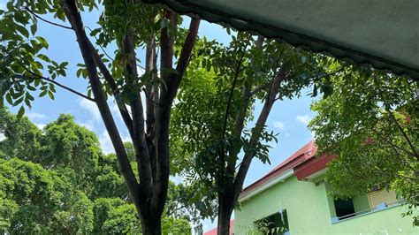 Film Pendek Bahasa Bugis “duppa Mata” Sma Negeri 1 Pare Pare X Cerdas 9 Youtube