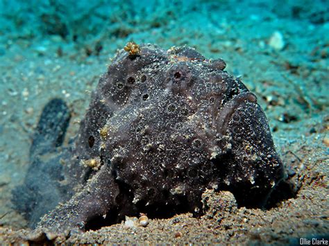 Accommodation Compass Diving