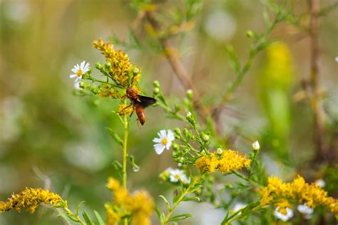 Img 8271 Melissa Mcmasters Flickr