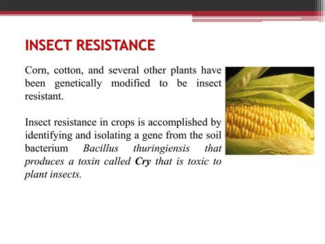 Genetically Modified Organism Ppt