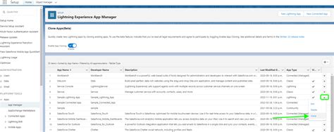 How To Clone Custom Lightning App In Salesforce Example