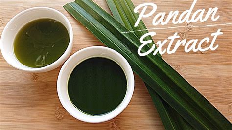 Pandan Extract Nz At Keith Maxey Blog