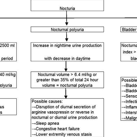 Algorithm Of Nocturia Treatment Download Scientific Diagram