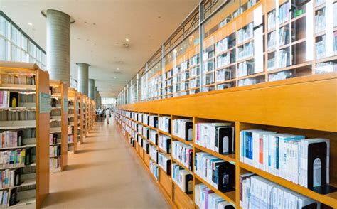 什么会对财务会计造成影响影响财务会计的因素福途教育网