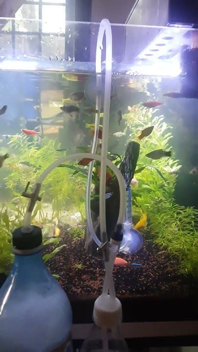 Creating A Diy Co2 Diffuser For Aquascape At Lower Cost Youtube