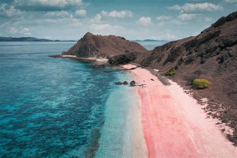 Pink Beach La Plage Rose De Komodo à Lombok