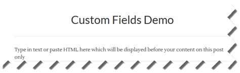 Beginners Guide To Adding Custom Fields In WordPress