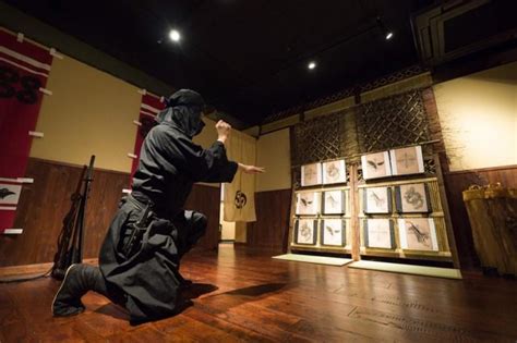 Learn More About The Ninja