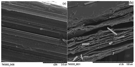 Morphology Property Of Natural Graphite A And Eg B B Download