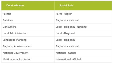 Purpose And Decision Making Levels